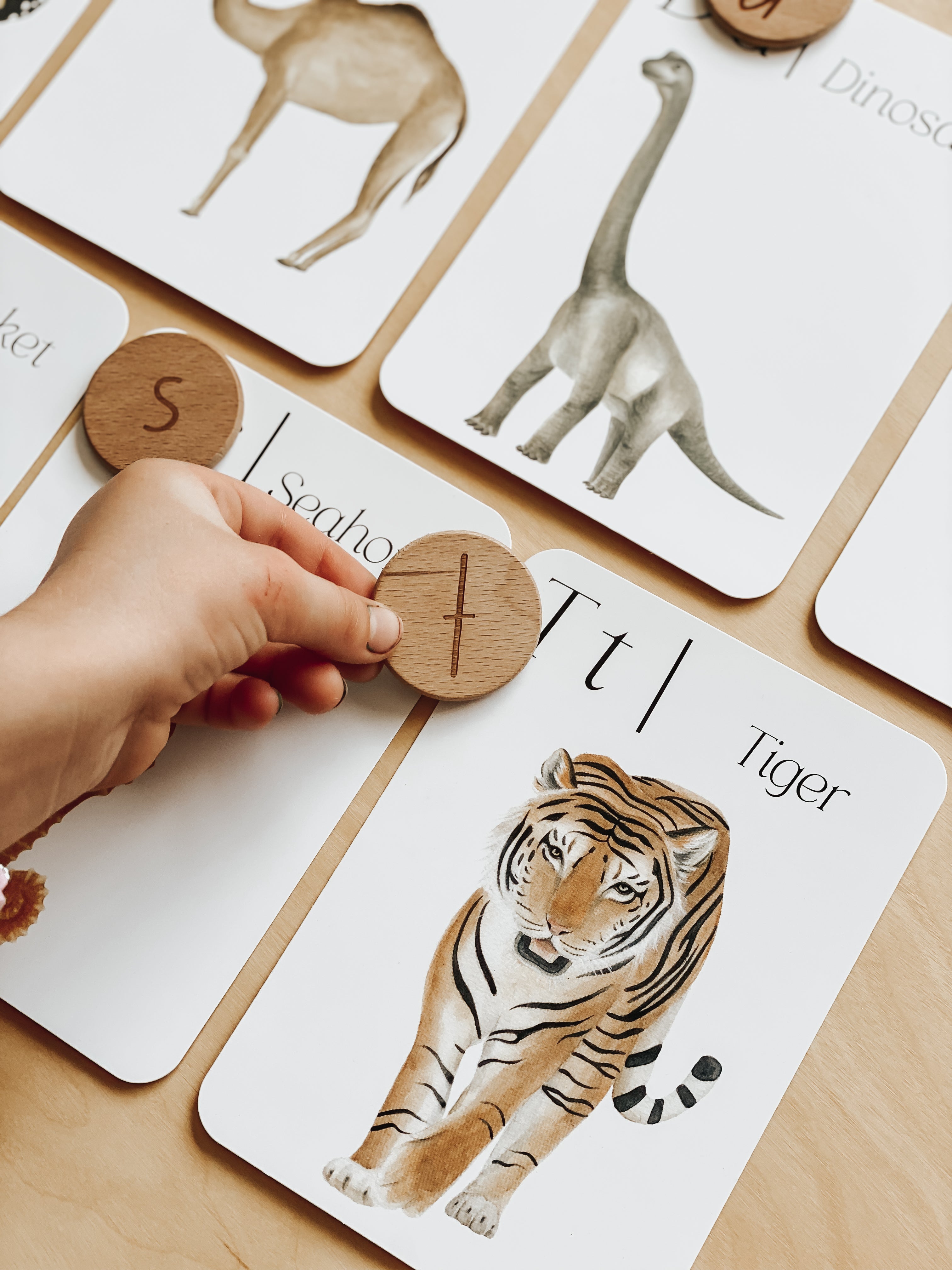 Nature’s ABC Flashcards - Jo Collier Made in Australia – Play Planet