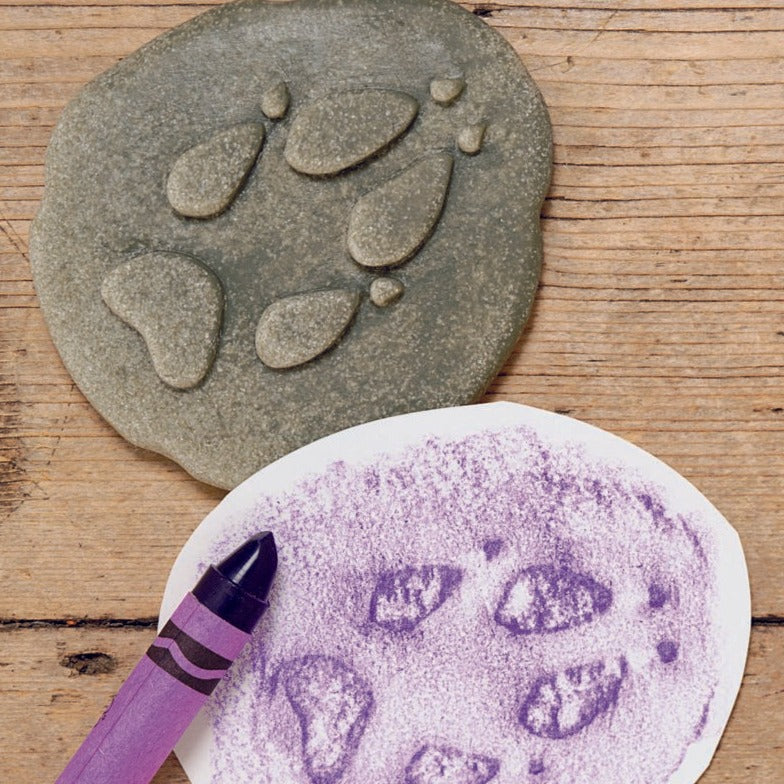 Let's Investigate - Woodland Footprints Play Dough Stamps – Play Planet